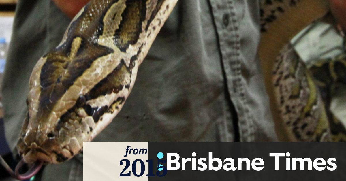 Toddler bitten by snake in Queensland outback